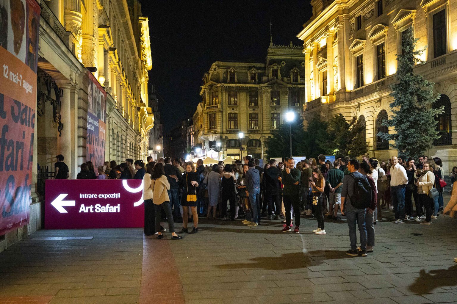 Art Night Out - Art Safari